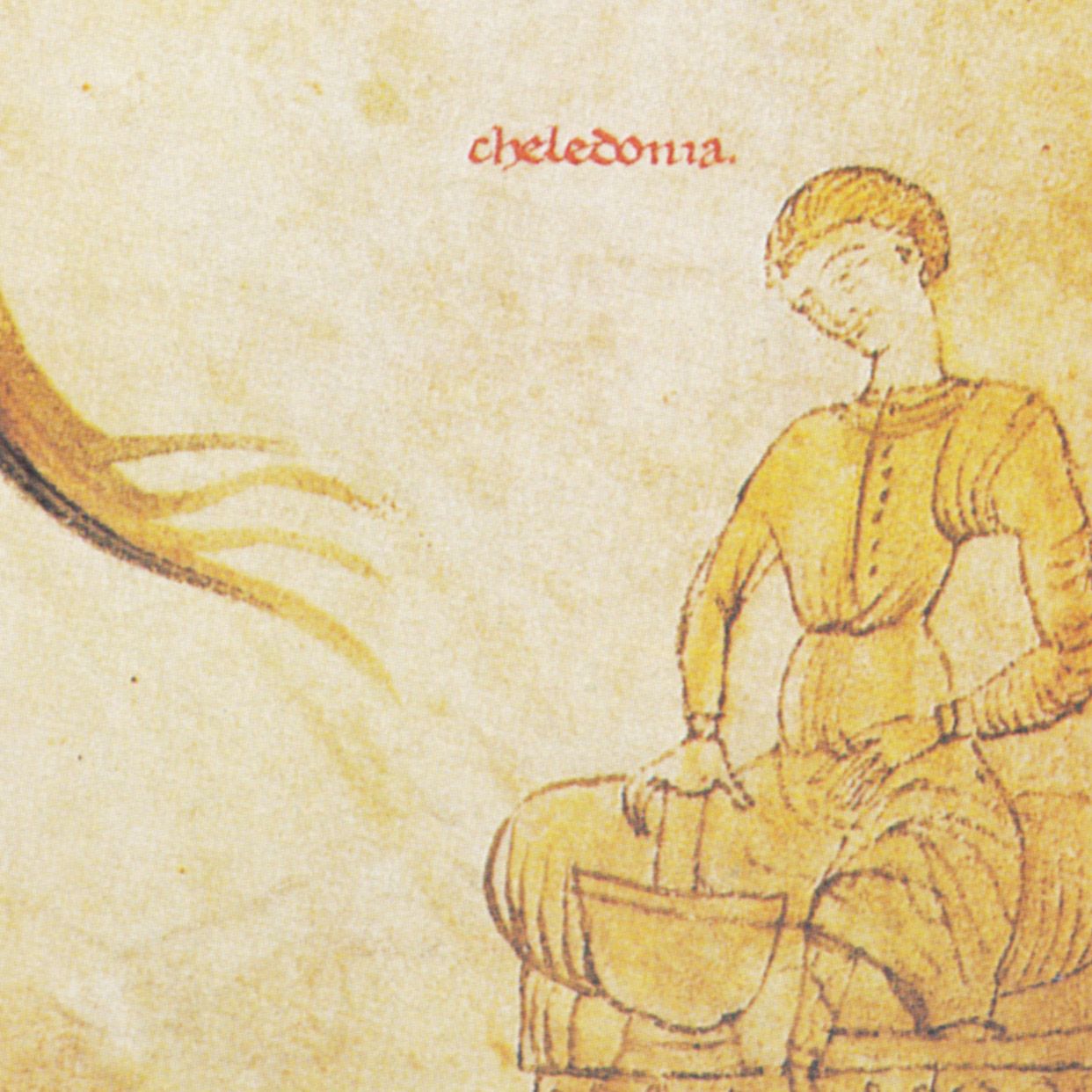 St. Chelidonia